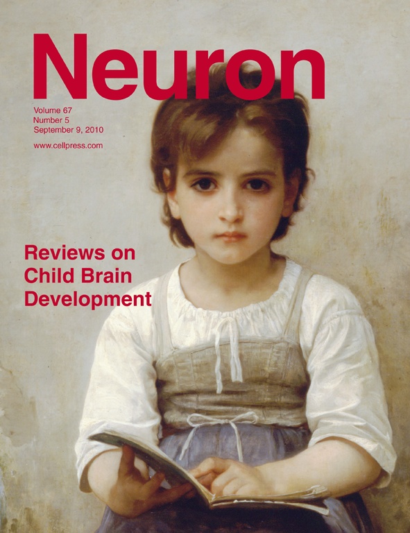 Child Brain Development – manwithoutqualities