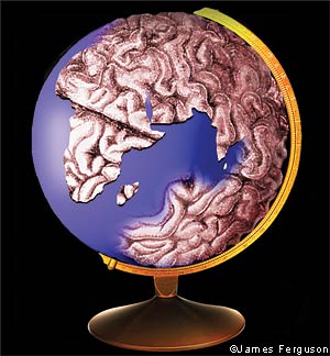 The Global Brain – manwithoutqualities