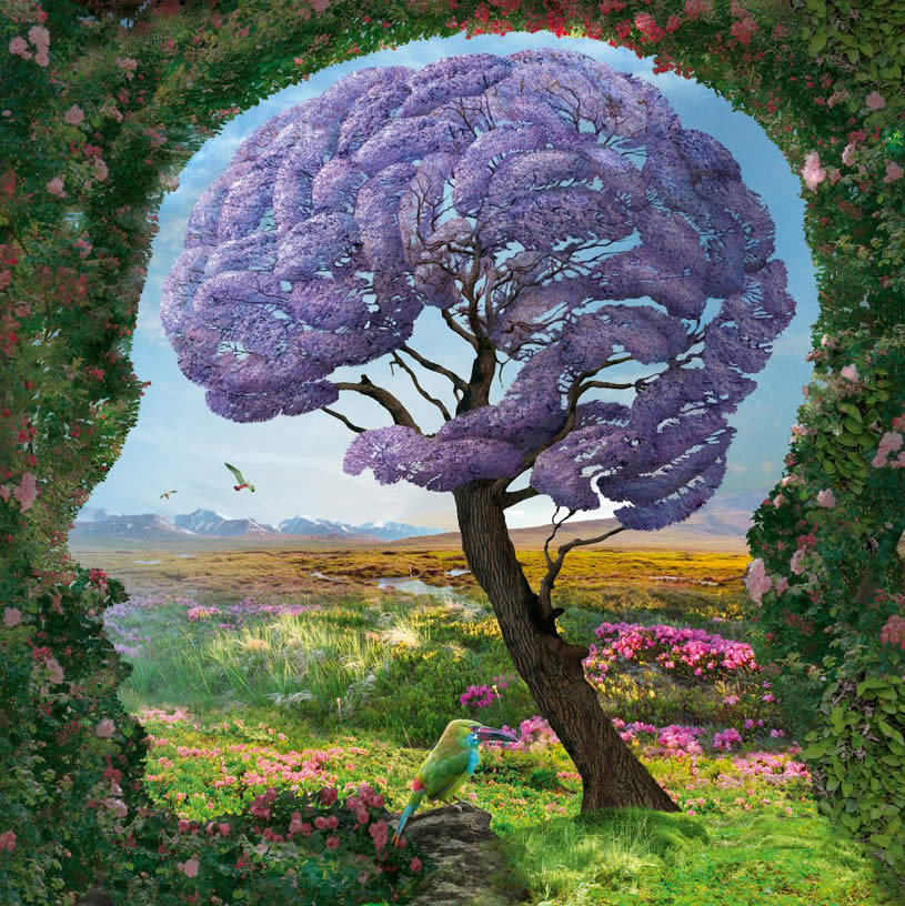 The Nature of Consciousness – manwithoutqualities