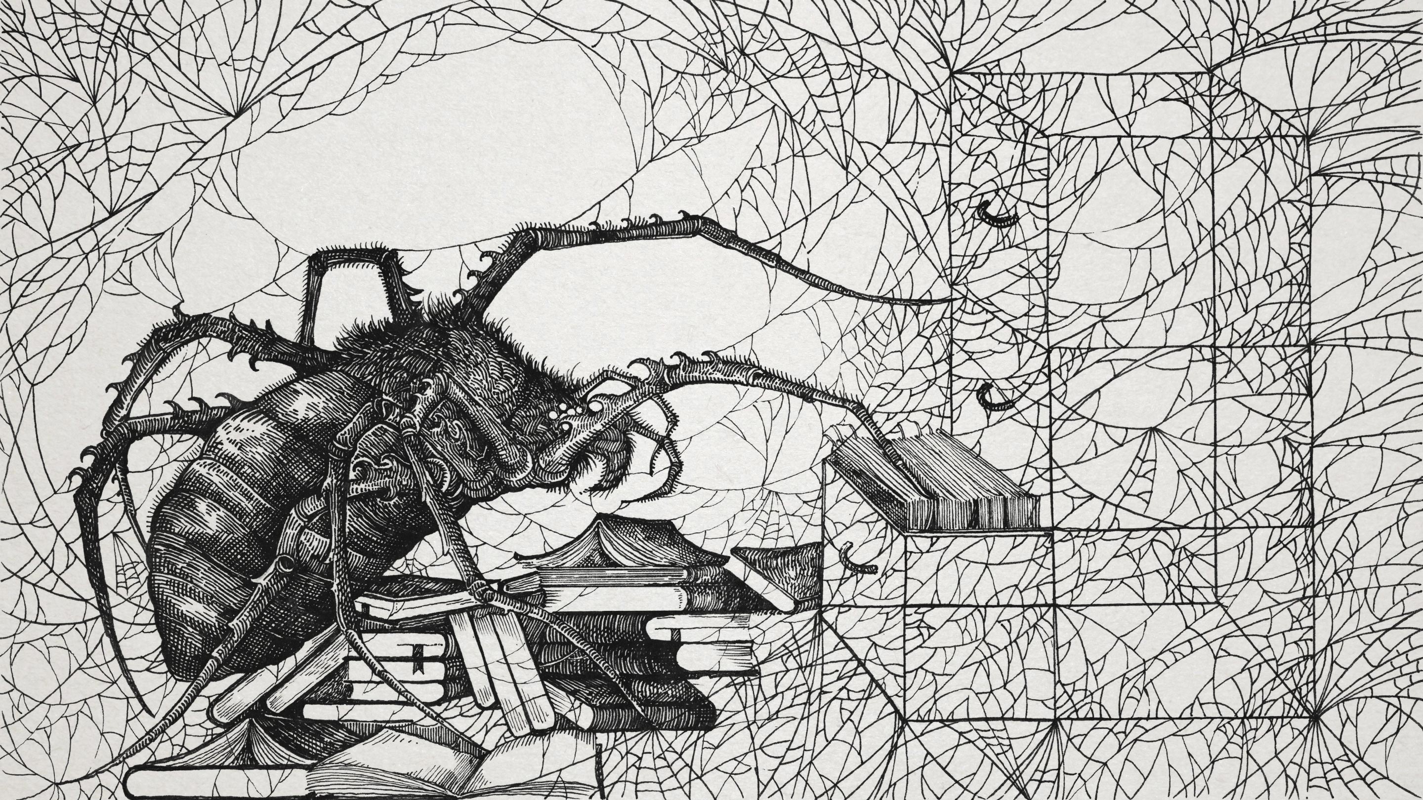 Spiders think with their webs – manwithoutqualities